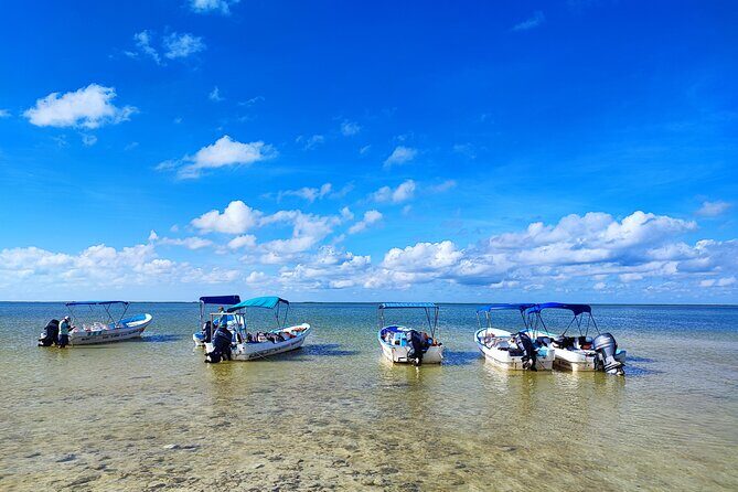 Sian Ka'an Trip from Playa del Carmen & Tulum - Value & Practical Considerations