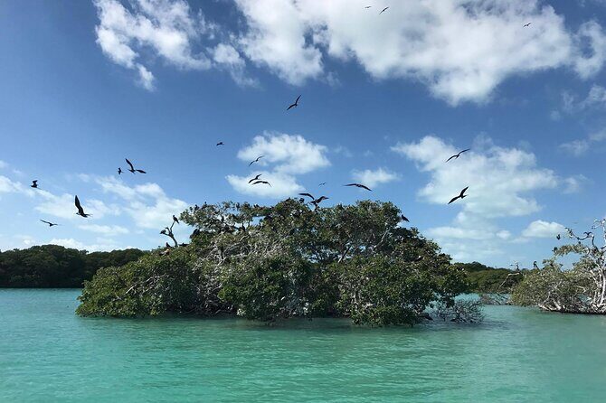 Sian Ka'an Trip from Playa del Carmen & Tulum - What Reviewers Say