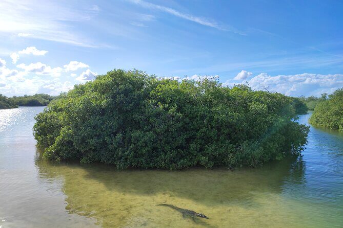 Sian Ka'an Trip from Playa del Carmen & Tulum - Final Thoughts: Who Should Consider This Tour?