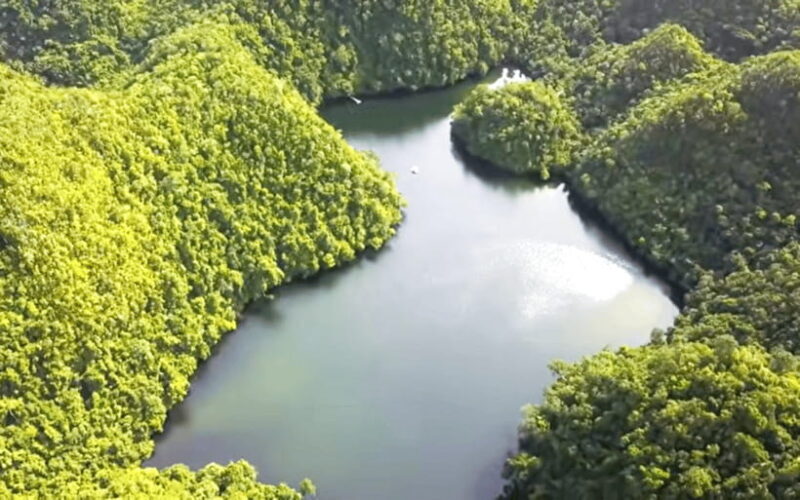 Siargao Escape(Tour L) : Private Island-Hopping Adventure - Practical Details: The Transport and Logistics