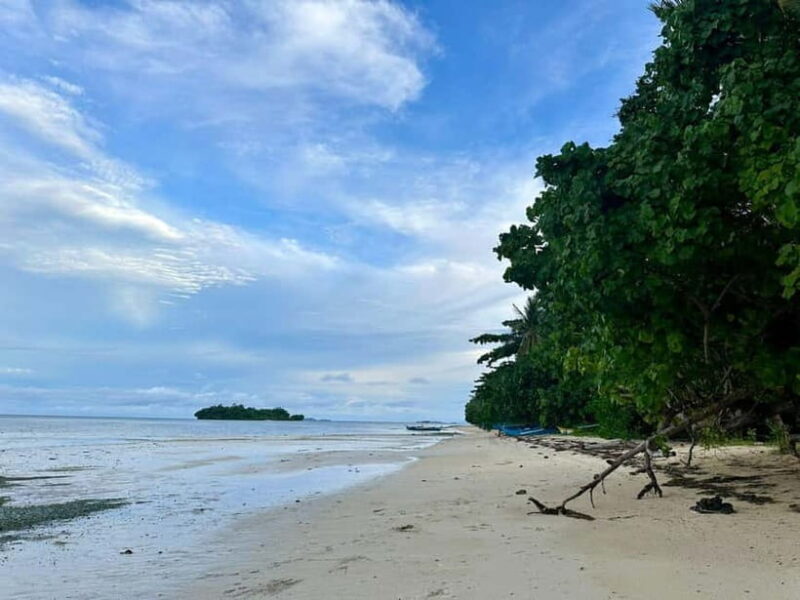 Siargao Island Vegetarian Cooking Class - Key Points