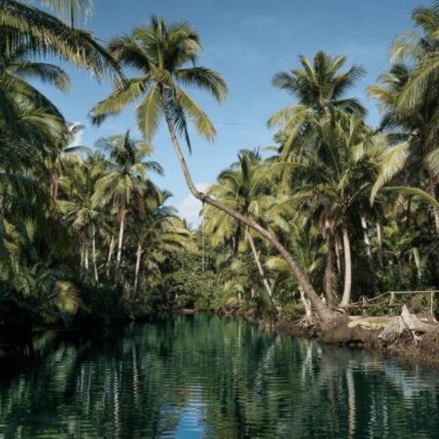 Siargao: Land Tour with Lunch and Sugba Lagoon - Key Points