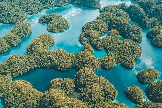 Siargao Private Sohoton Bucas Grande Tour with Lunch - The Initial Promise: Comfortable, Organized, and Inclusive