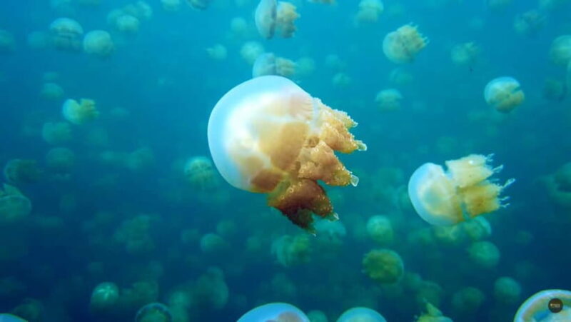 Siargao Sohoton Adventure Meets Corregidor Island - The Itinerary: What You Can Expect