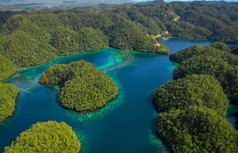 Siargao: Sohoton and Non-Sting Jellyfish Sanctuary Tour - What You Can Expect from the Sohoton & Jellyfish Tour