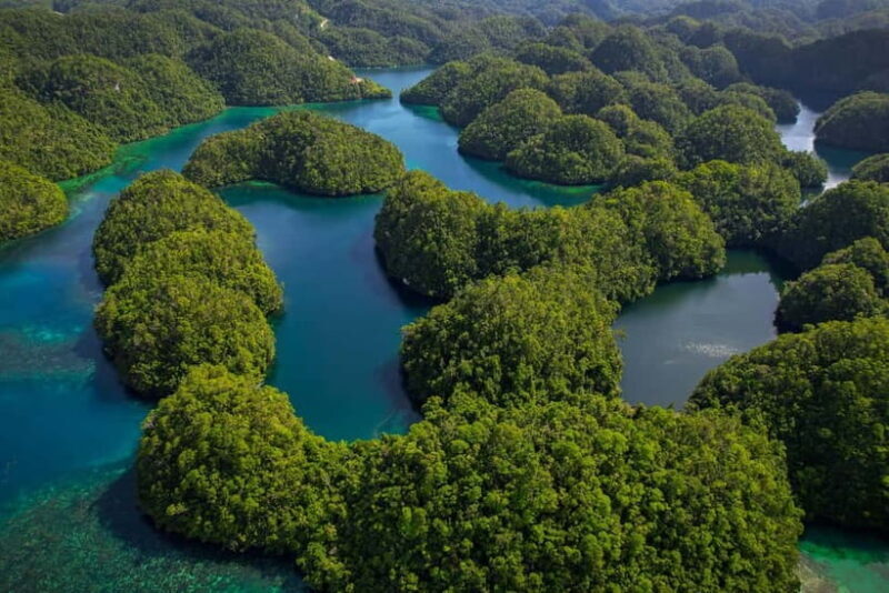 Siargao: Sohoton and Non-Sting Jellyfish Sanctuary Tour - FAQ