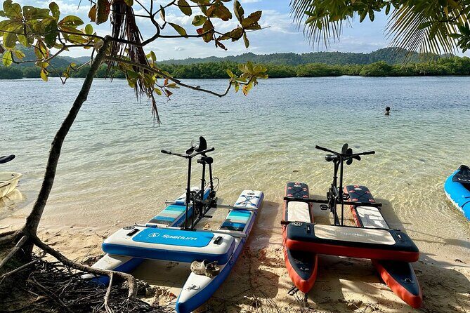 Siargao Sunset Paddle Board and Firefly Watching - Introduction: A Unique Siargao Adventure That Combines Nature and Serenity