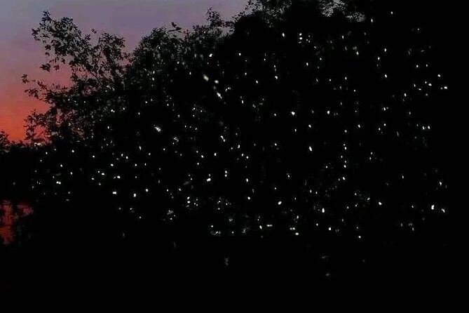 Siargao Sunset Paddle Board and Firefly Watching - Practical Tips