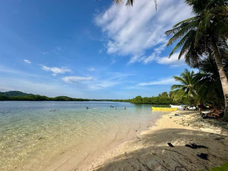 Siargao: Sunset Paddle Boarding and Firefly Watching Tour - Key Points