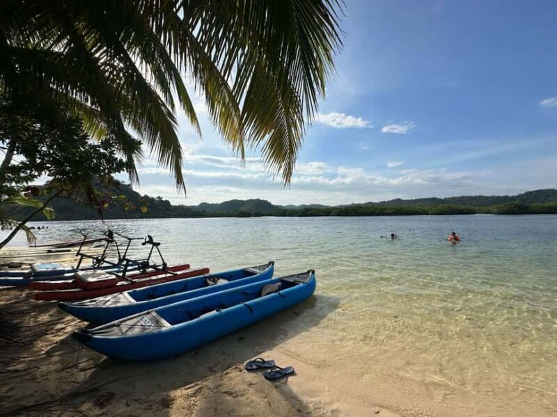 Siargao: Sunset Paddle Boarding and Firefly Watching Tour - A Closer Look at the Experience