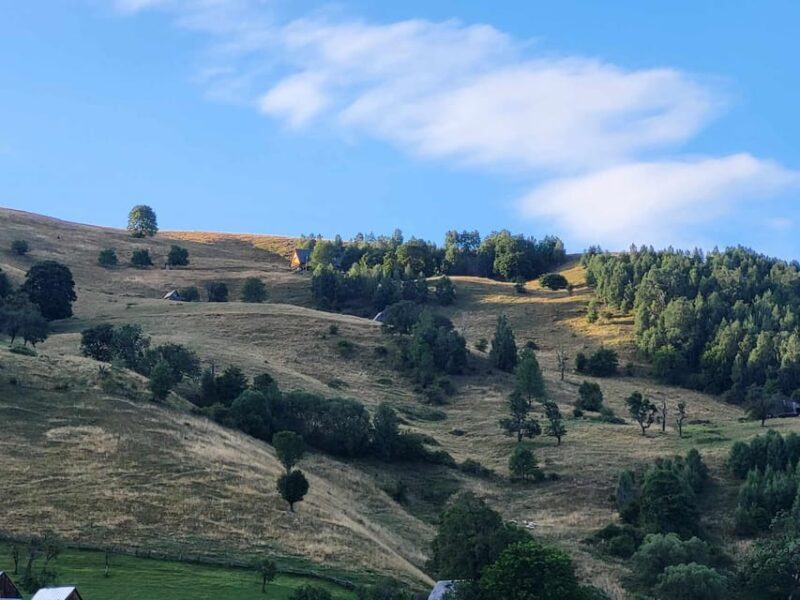 Sibiu: Cindrel Mountains Hike with Traditional Brunch - What Makes This Experience Stand Out?