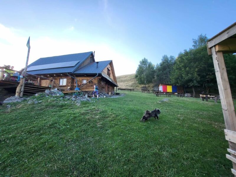 Sibiu: Cindrel Mountains Hike with Traditional Brunch - FAQ