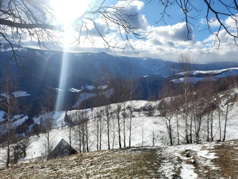 Sibiu: Cindrel Mountains Hike with Traditional Brunch - Final Thoughts