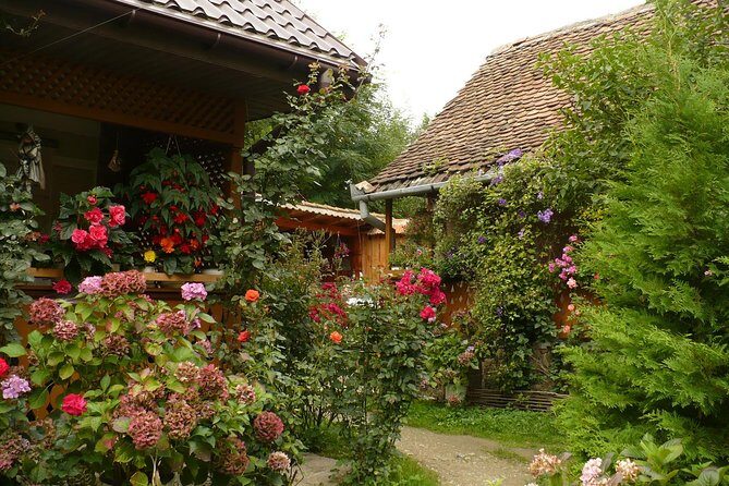 Sibiu Day Trip from Brasov - Comfort and Convenience