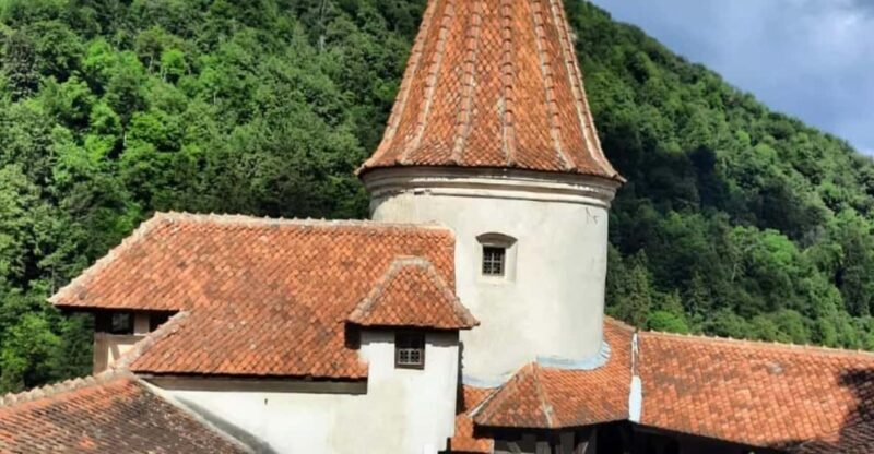 Sibiu: Dracula's Castle and Dino Park Day Trip - Sibiu: Draculas Castle and Dino Park Day Trip — A Detailed Review