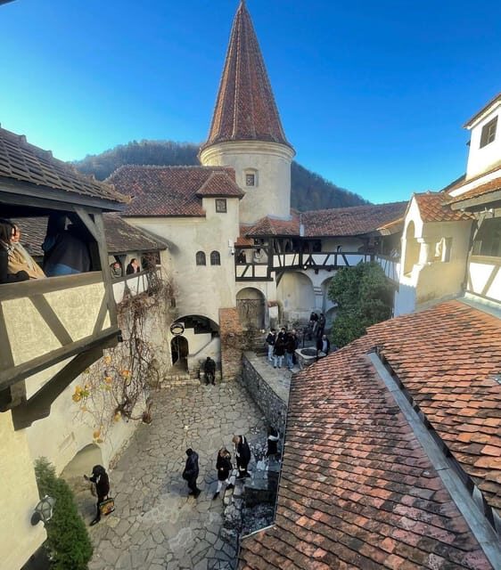 Sibiu: Dracula's Castle and Dino Park Day Trip - Key Points
