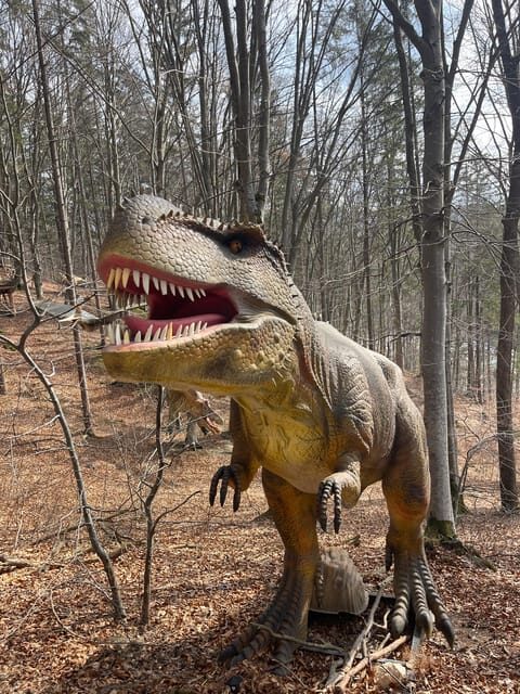 Sibiu: Dracula's Castle and Dino Park Day Trip - FAQ