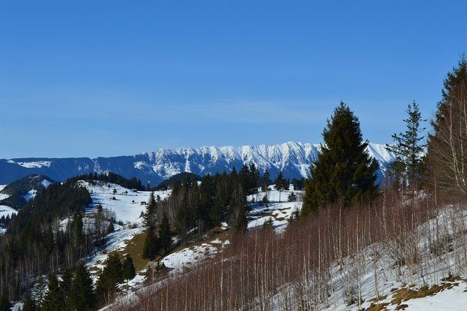 Sibiu to Bucharest - Private Guided Transfer - Car and Driver - Frequently Asked Questions (FAQs)