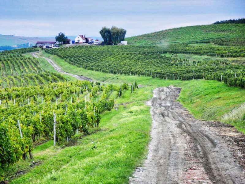 Sibiu & wine tasting tour (from Cluj) - Who Should Consider This Tour?