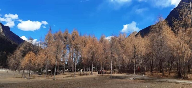 Sichuan: Bipeng Valley Ticket - Key Points
