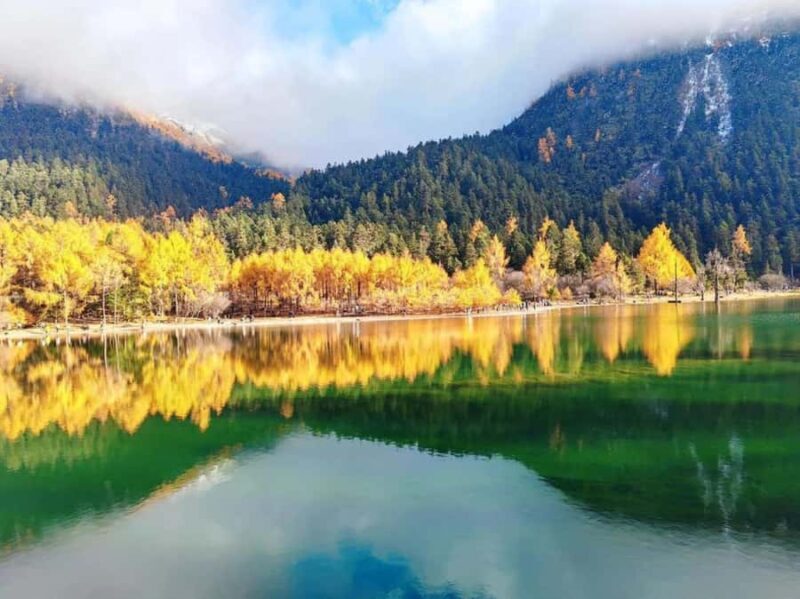 Sichuan: Bipeng Valley Ticket - Authentic Experiences and Hidden Gems
