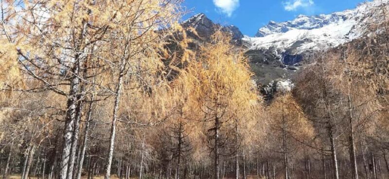 Sichuan: Bipeng Valley Ticket - Final Thoughts