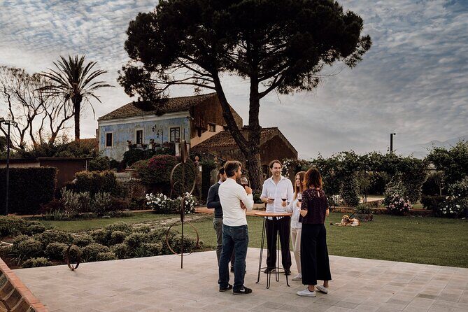Sicilian Lunch with Wine Tasting - What to Expect from the Sicilian Lunch and Wine Tasting
