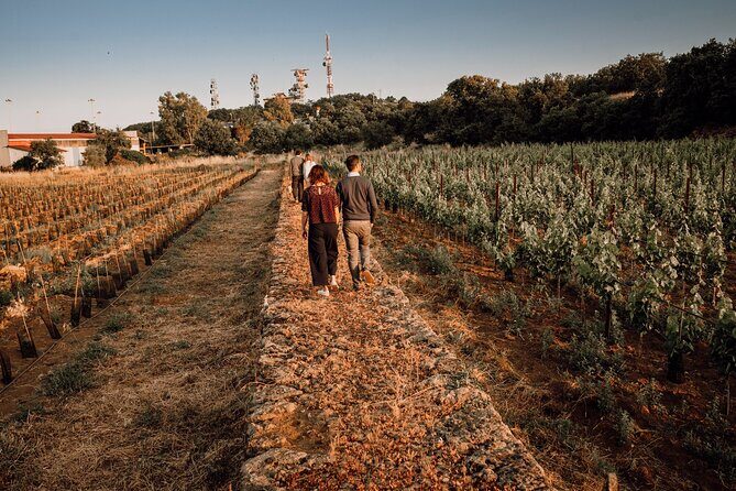 Sicilian Lunch with Wine Tasting - Summary: Who Will Love This Experience?