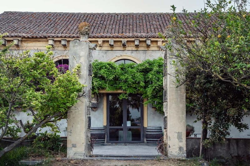 Sicilian Soul: Winery Tour, Wine & Food Tasting in Catania - Location and Setting: A Historic and Lush Environment