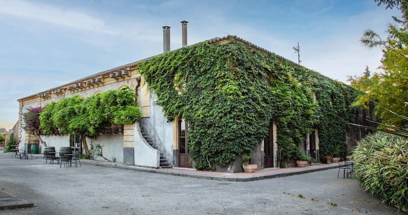 Sicilian Soul: Winery Tour, Wine & Food Tasting in Catania - The Experience: A Tour That Feels Personal and Genuine
