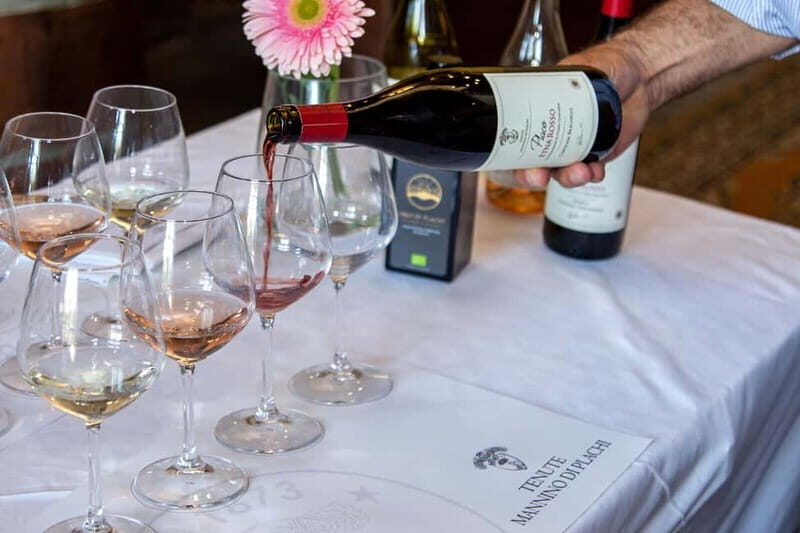 Sicilian Soul: Winery Tour, Wine & Food Tasting in Catania - Who Will Love This Tour?