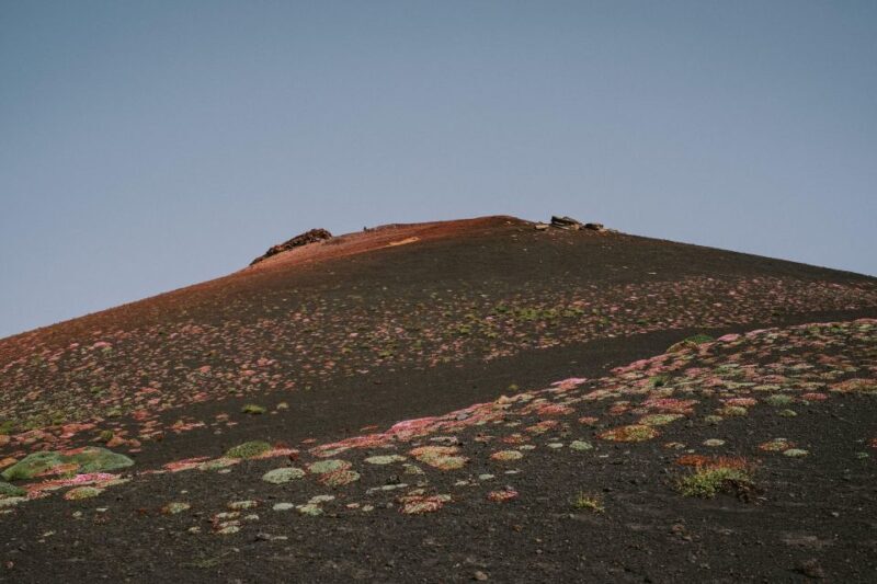 Sicily: Etna Volcano and Wine Tasting Tour - Key Points