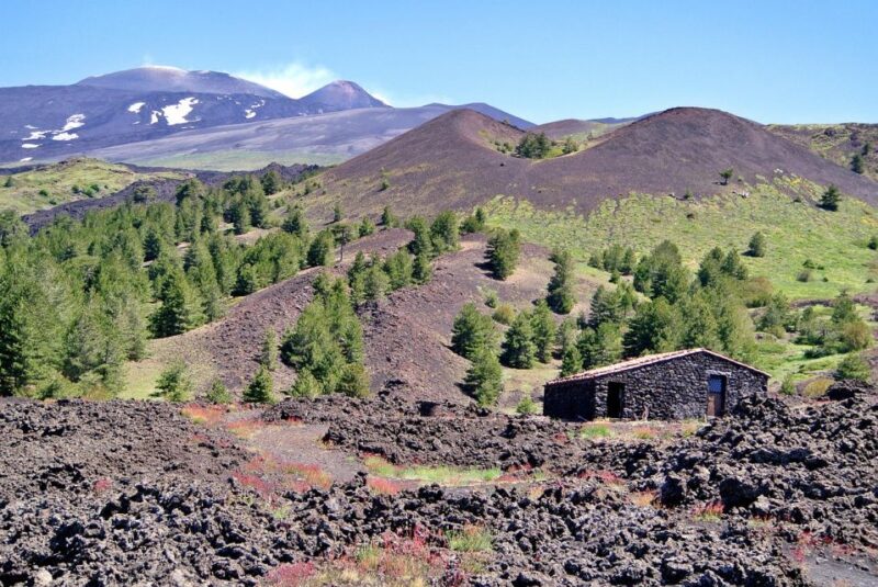 Sicily: Etna Volcano & Taormina Tour - Key Points