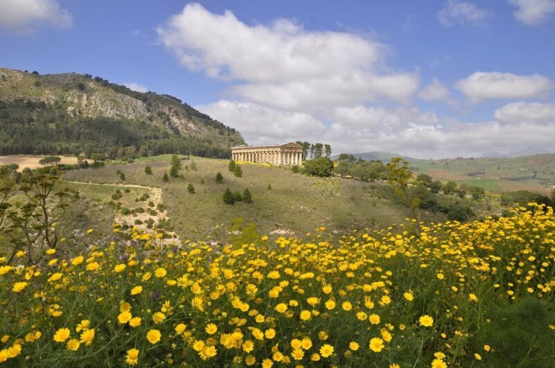 Sicily: Segesta Ticket, Shuttle Service & City Audio Tour - Authentic Experiences and Traveler Insights