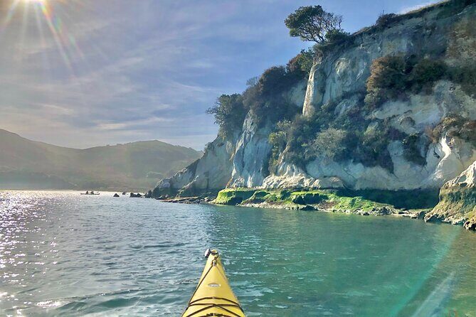 Sick Day Midweek Kayak Tour on Tomales Bay - An In-Depth Look at the Tomales Bay Kayak Tour