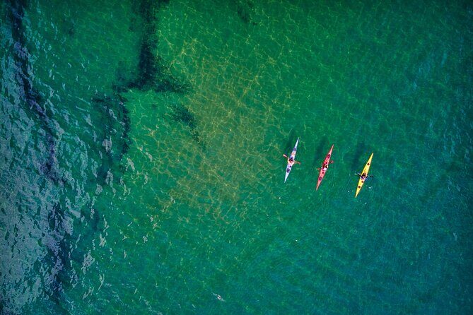 Sick Day Midweek Kayak Tour on Tomales Bay - What’s Included and Why It Matters