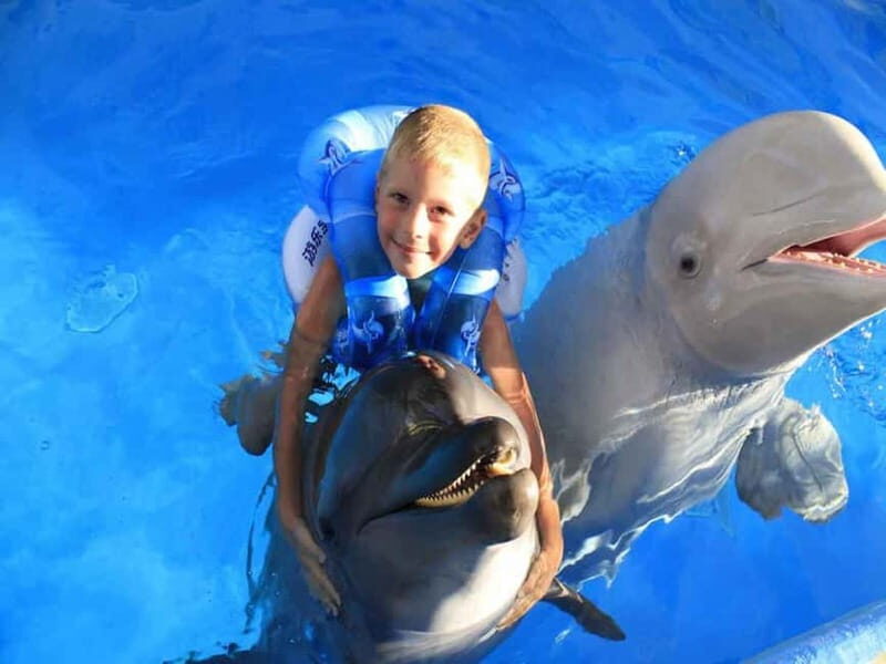 Side/Alanya: Swimming with Dolphins and Dolphin Show - What to Expect from the Tour