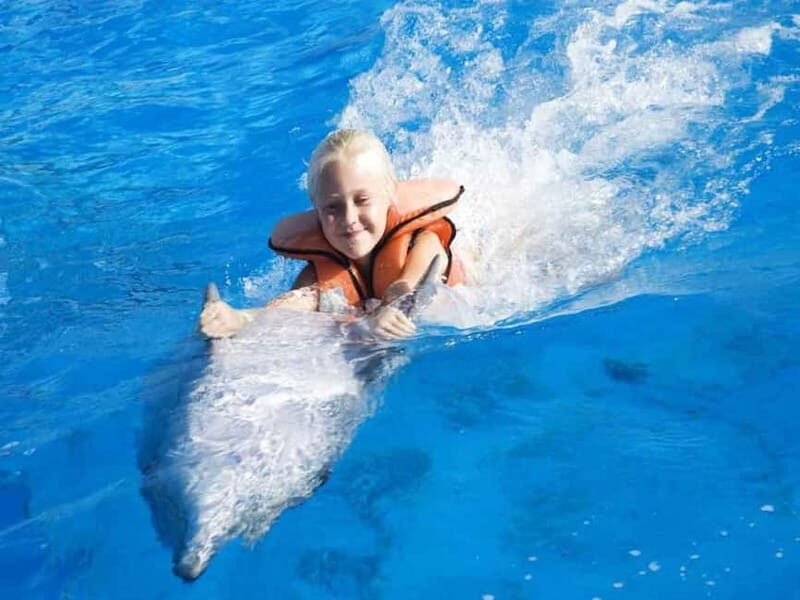 Side/Alanya: Swimming with Dolphins and Dolphin Show - Authentic Experiences and Visitor Feedback