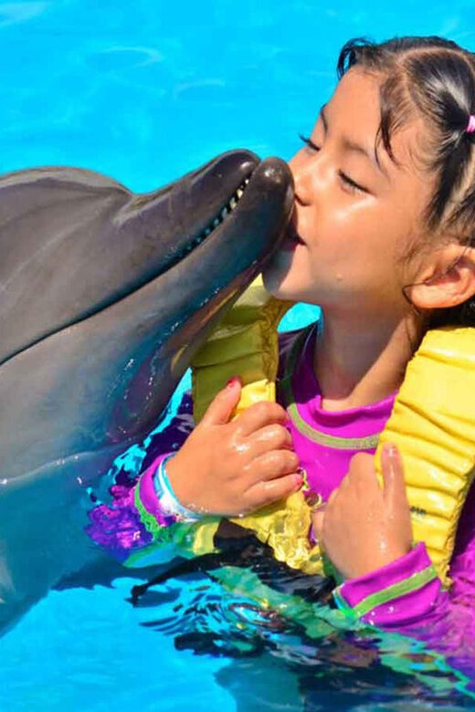 Side/Alanya: Swimming with Dolphins and Dolphin Show - Who Should Consider This Tour?