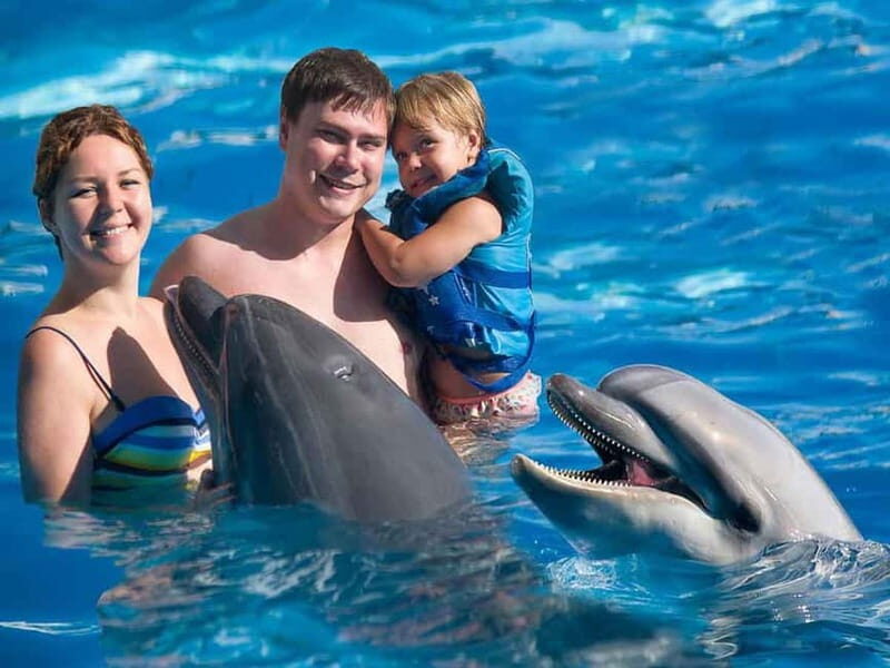 Side/Alanya: Swimming with Dolphins and Dolphin Show - The Sum Up: Is It Worth It?