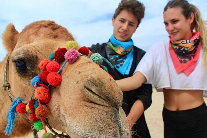 Side by Side and Camel COMBO Adventure - Key Points