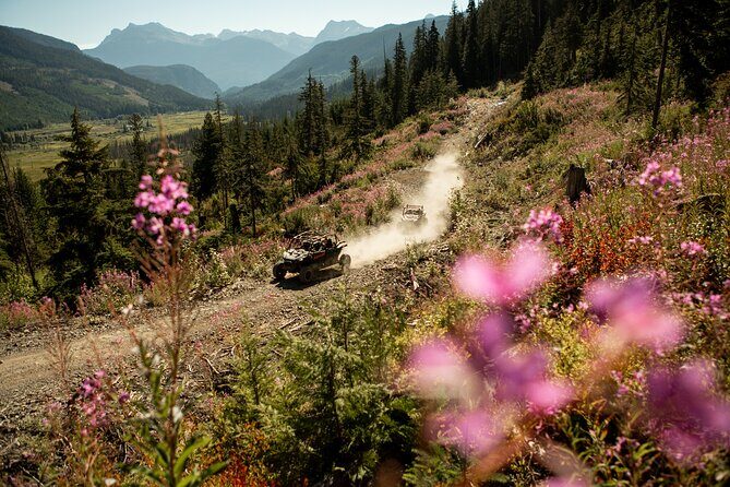 Side-by-Side Off-Roading Adventures on Cougar Mountain - Authentic Experiences from Travelers