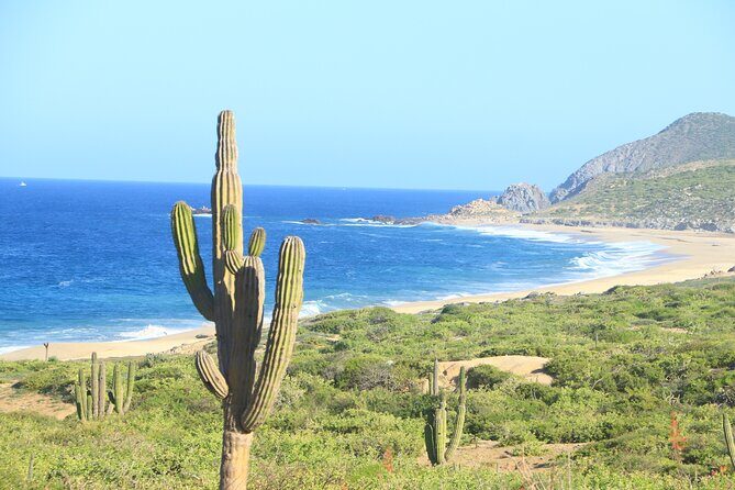 Side by Side Sport Adventure - Final Thoughts: Is It Worth It?