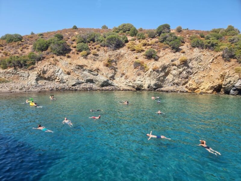 Side: Dolphin Island Boat Tour with BBQ Lunch - Practical Details: Making the Most of Your Day