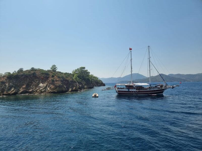 Side: Dolphin Island Boat Tour with BBQ Lunch - The Bottom Line
