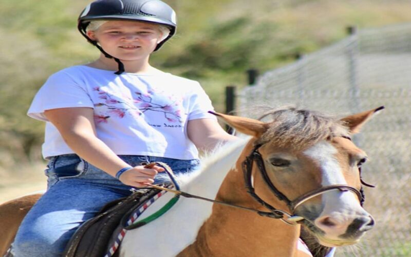 Side: Horse Safari Tour - Practical Details & Logistics
