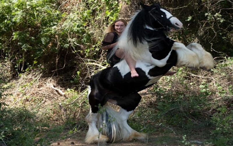 Side: Horse Safari Tour - Who Would Love This Tour?