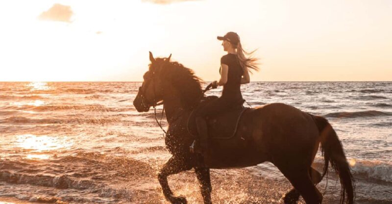 Side: Horseback Riding Tour in Nature with Transfer - The Itinerary: What You’ll Encounter