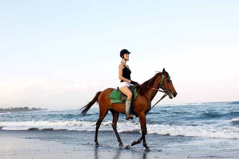 Side: Horseback Riding Tour in Nature with Transfer - What Travelers Are Saying