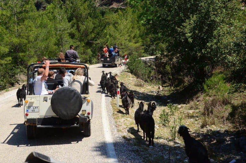 Side: Jeep Safari & Lion Safari with Lunch and Green Canyon - What to Know Before You Go